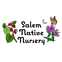 Projects – Salem Native Nursery
