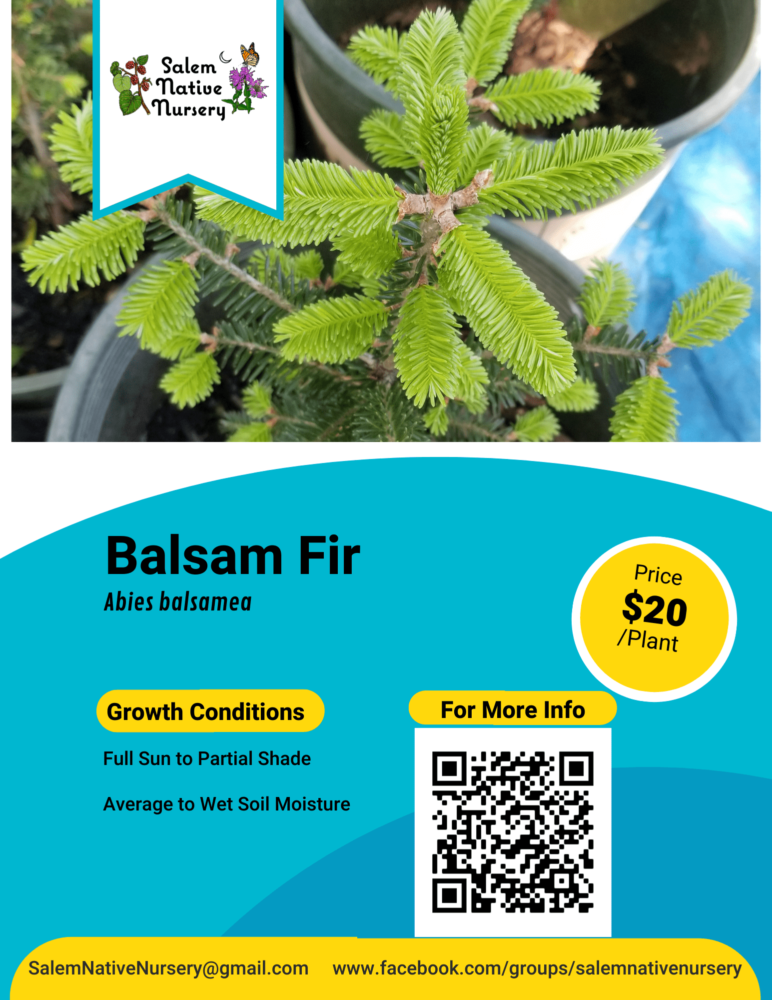 2022 Projects – Salem Native Nursery