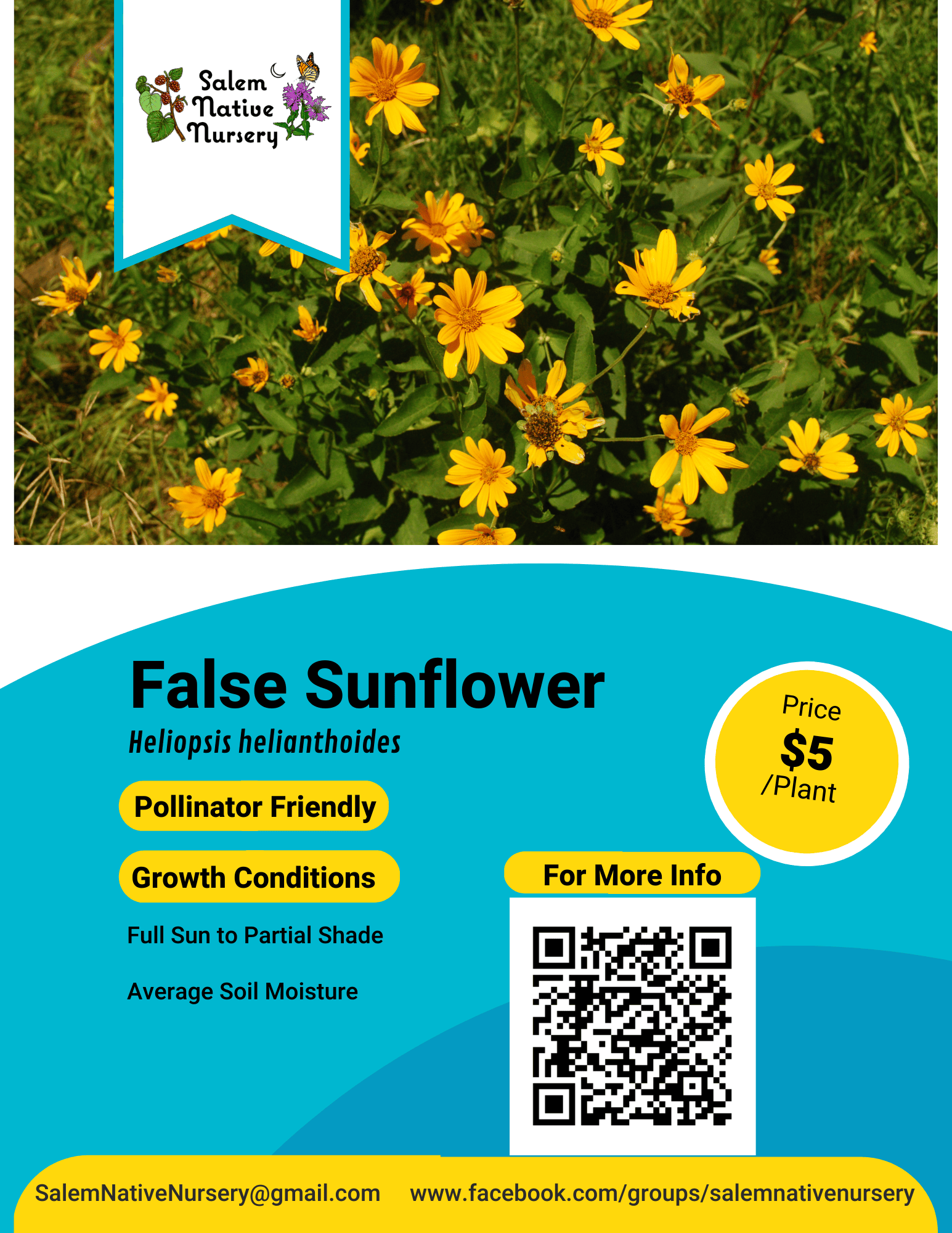 2025 Plant Selection – Salem Native Nursery