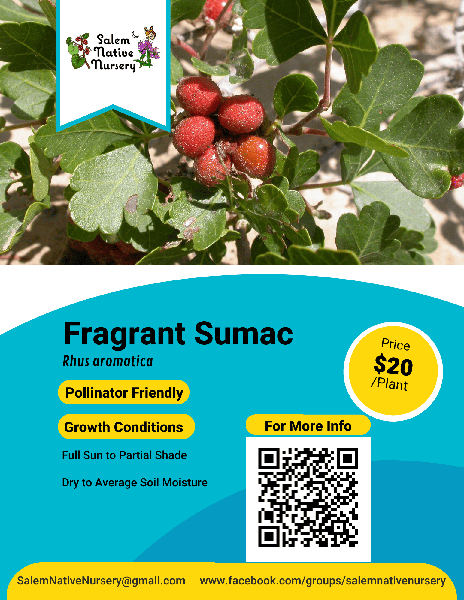 2025 Plant Selection – Salem Native Nursery