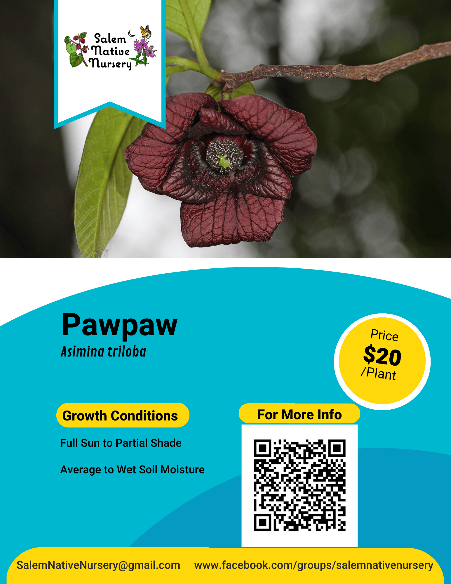 2025 Plant Selection – Salem Native Nursery