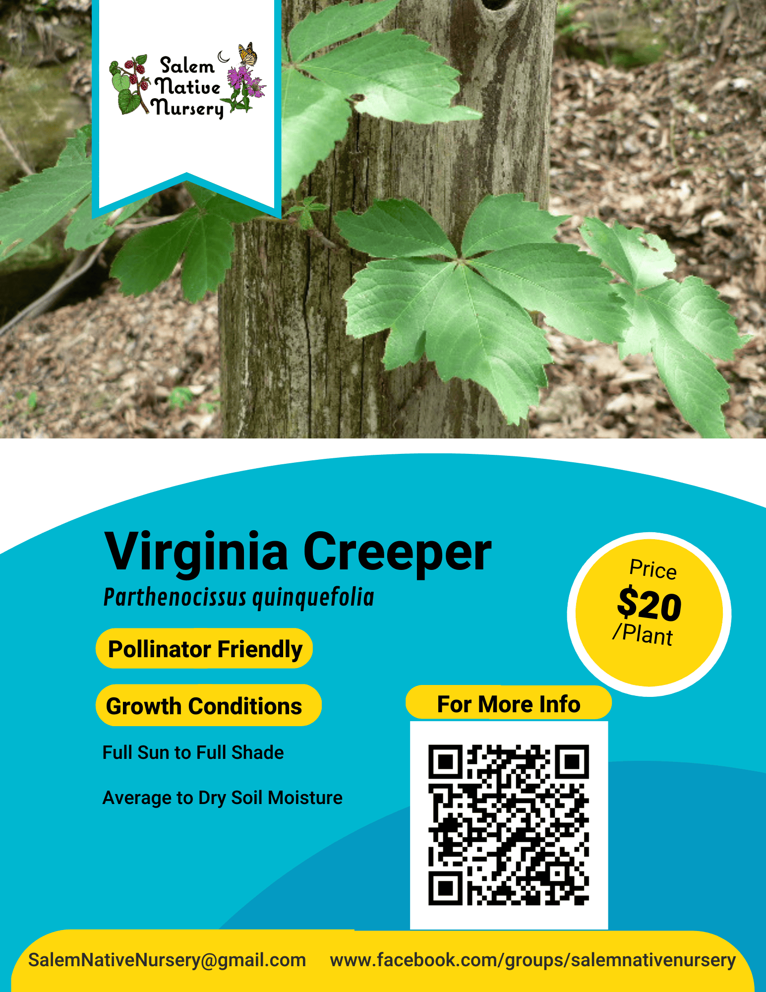 2025 Plant Selection – Salem Native Nursery