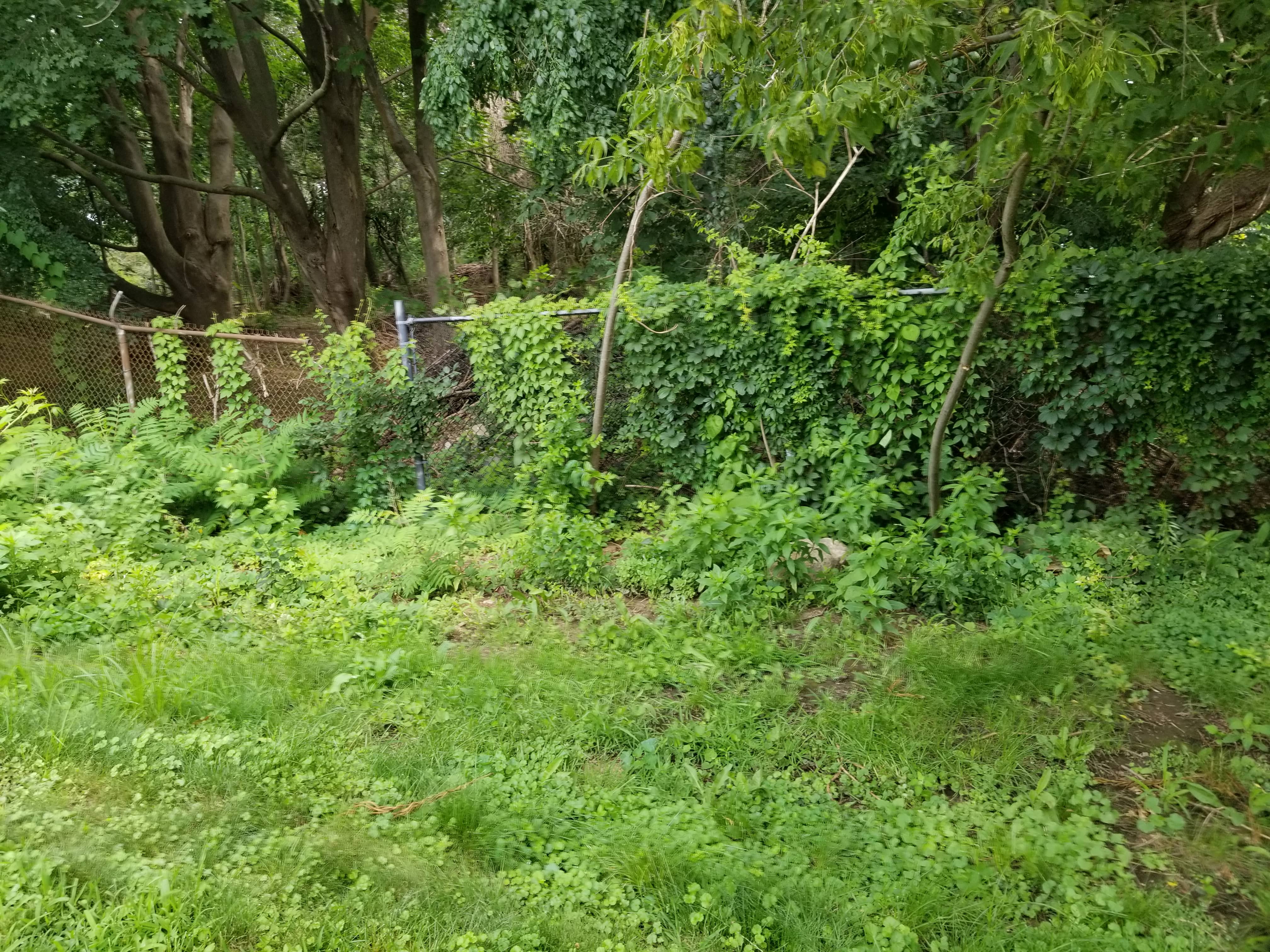 2023 Projects – Salem Native Nursery